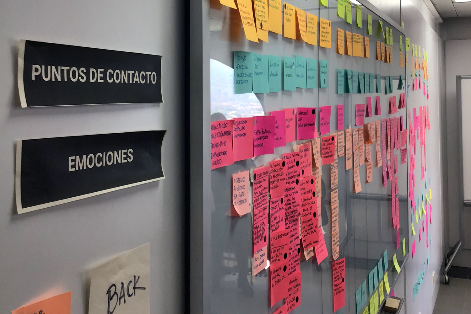 Project wall, un ecosistema que tiene vida – Ceiba Software